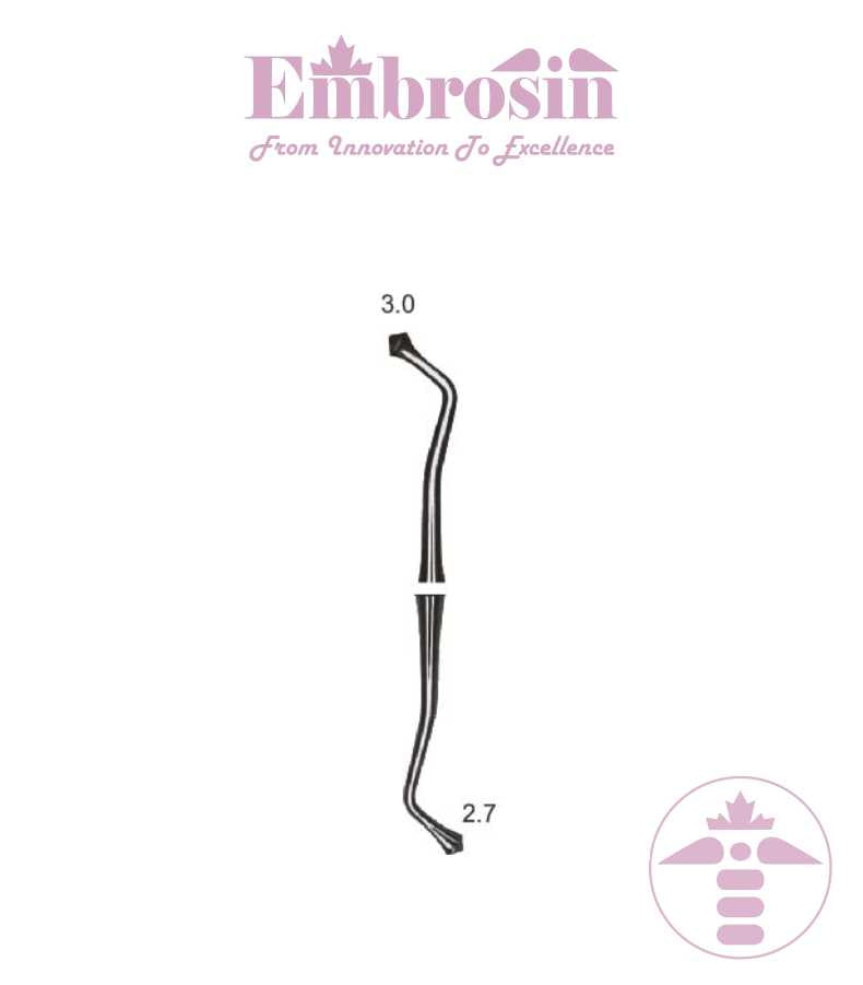 EE30-002 - Burnisher, Acorn, 21B, 3.0/2.7 mm – Embrosin Medical ...